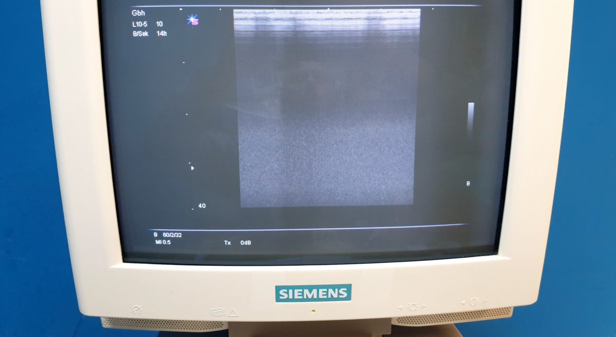 Siemens L10-5 Schallkopf L10-5 (07472660), Ultraschallwandler ...